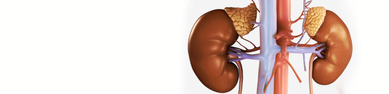 Patologia das glândulas suprarrenais - Allure Clinic Porto